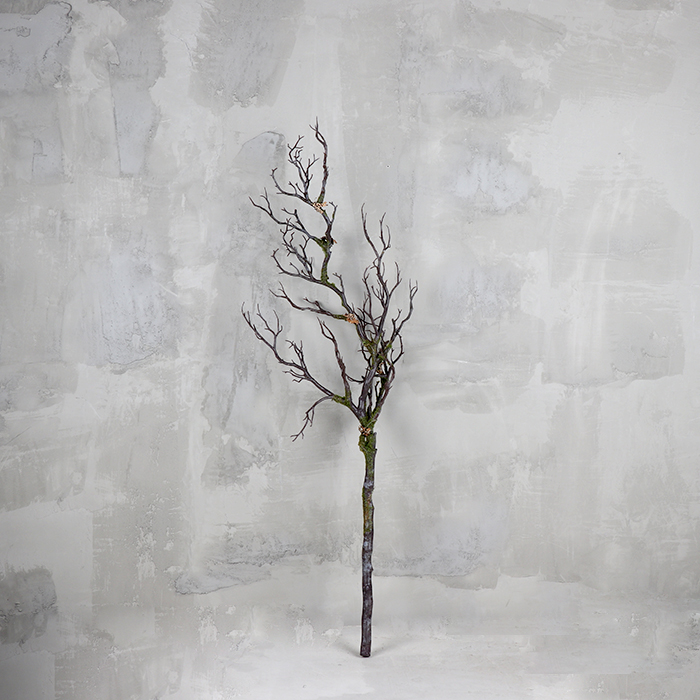 RAMA DESIERTO – Area Design