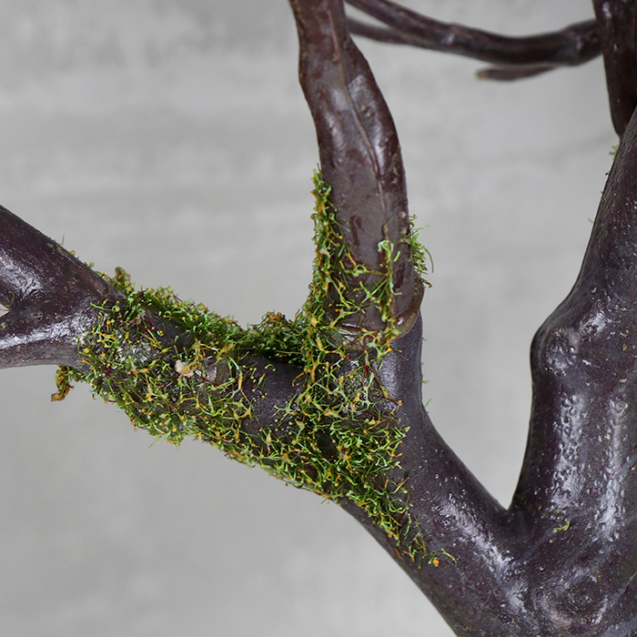 RAMA DESIERTO – Area Design